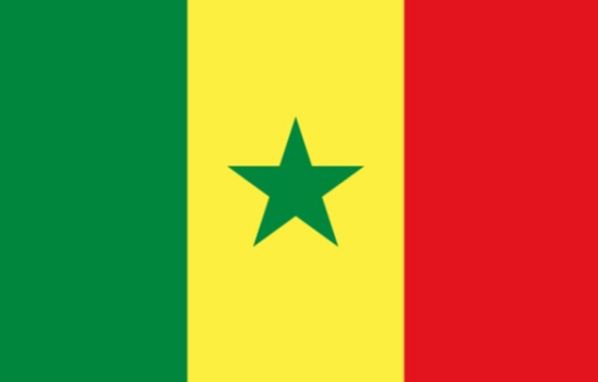 France vs Senegal - Yalla Shoot